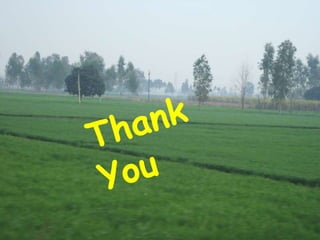 COMMUNITY BASED REHABILITATION AND INSTITUTIONAL BASED REHABILITAION | PPTX