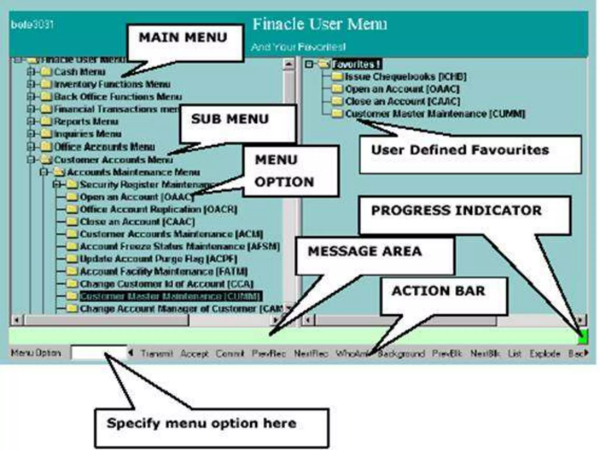 introduction to finacle | PPTX