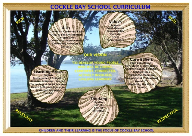 Cbs curriculum | PDF