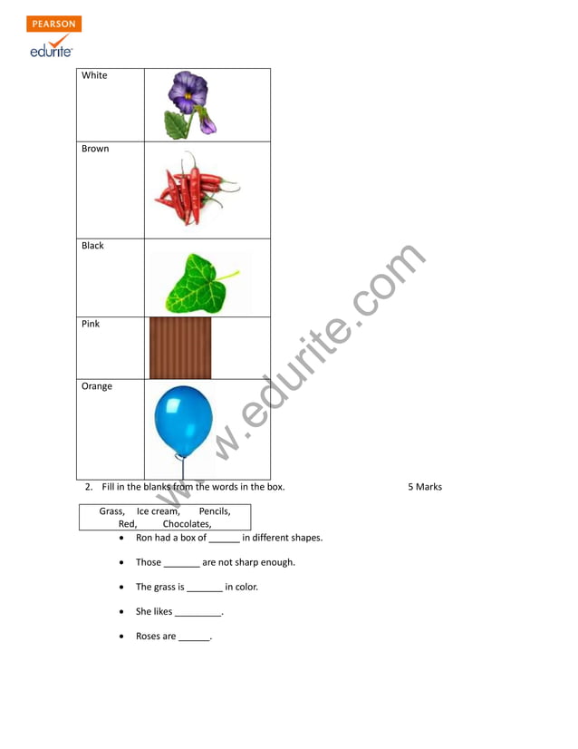 Class 1 CBSE English Sample Paper Model 2 | PDF