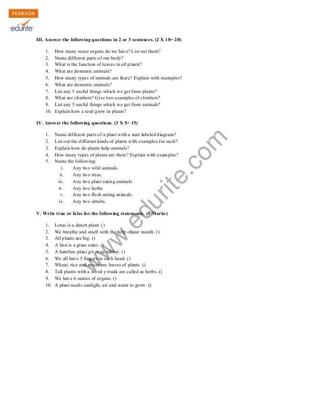 Class 1 CBSE EVS Sample Paper Term 1 Model 1