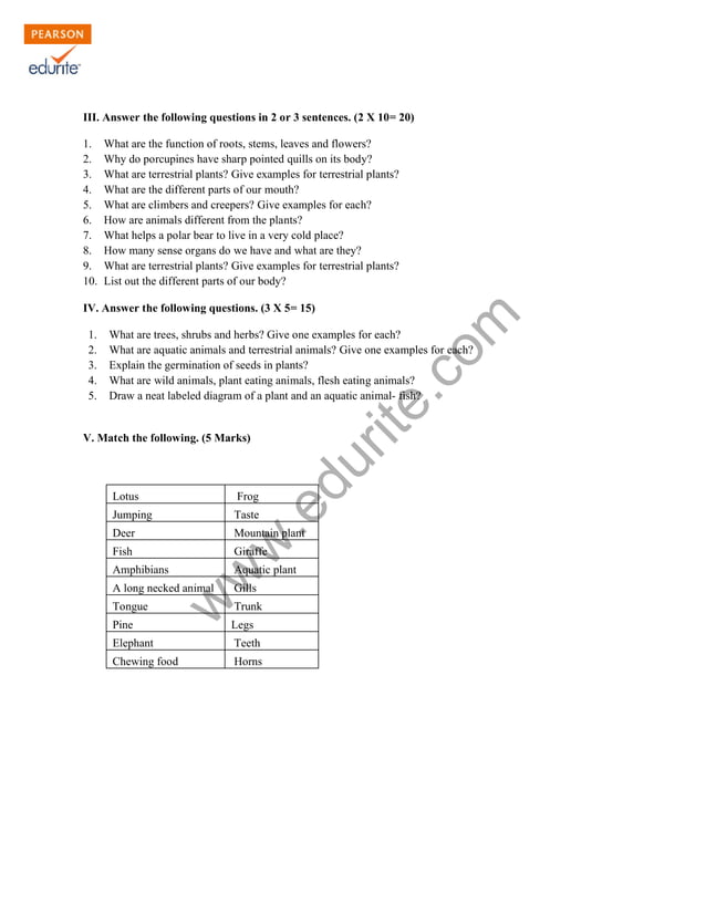 Class 1 CBSE EVS Sample Paper Term 1 Model 2 | PDF