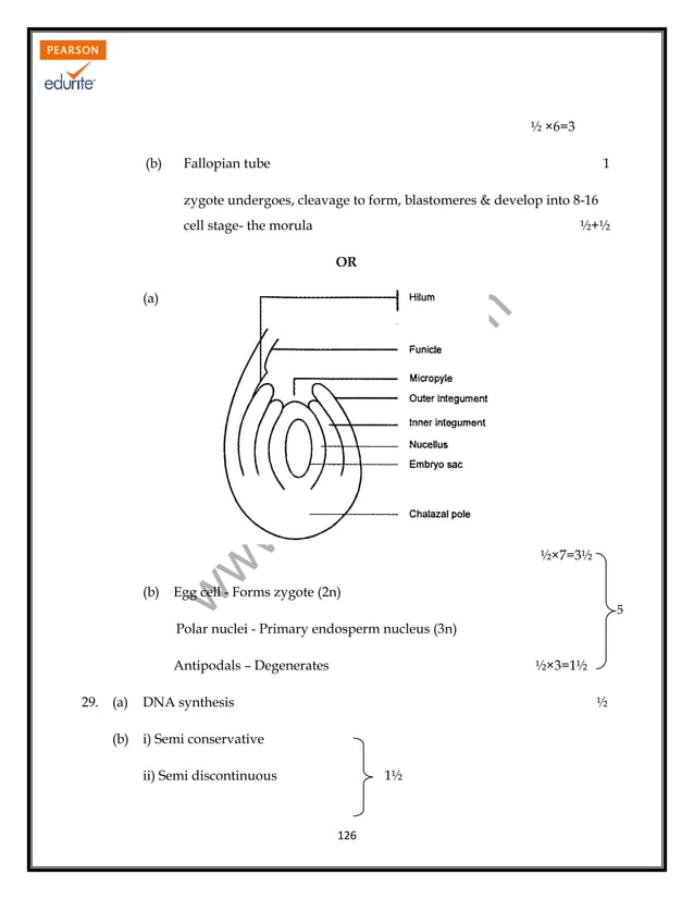 Class 12 Cbse Biology Sample Paper 2012-13 | PDF | Gardening | Home ...
