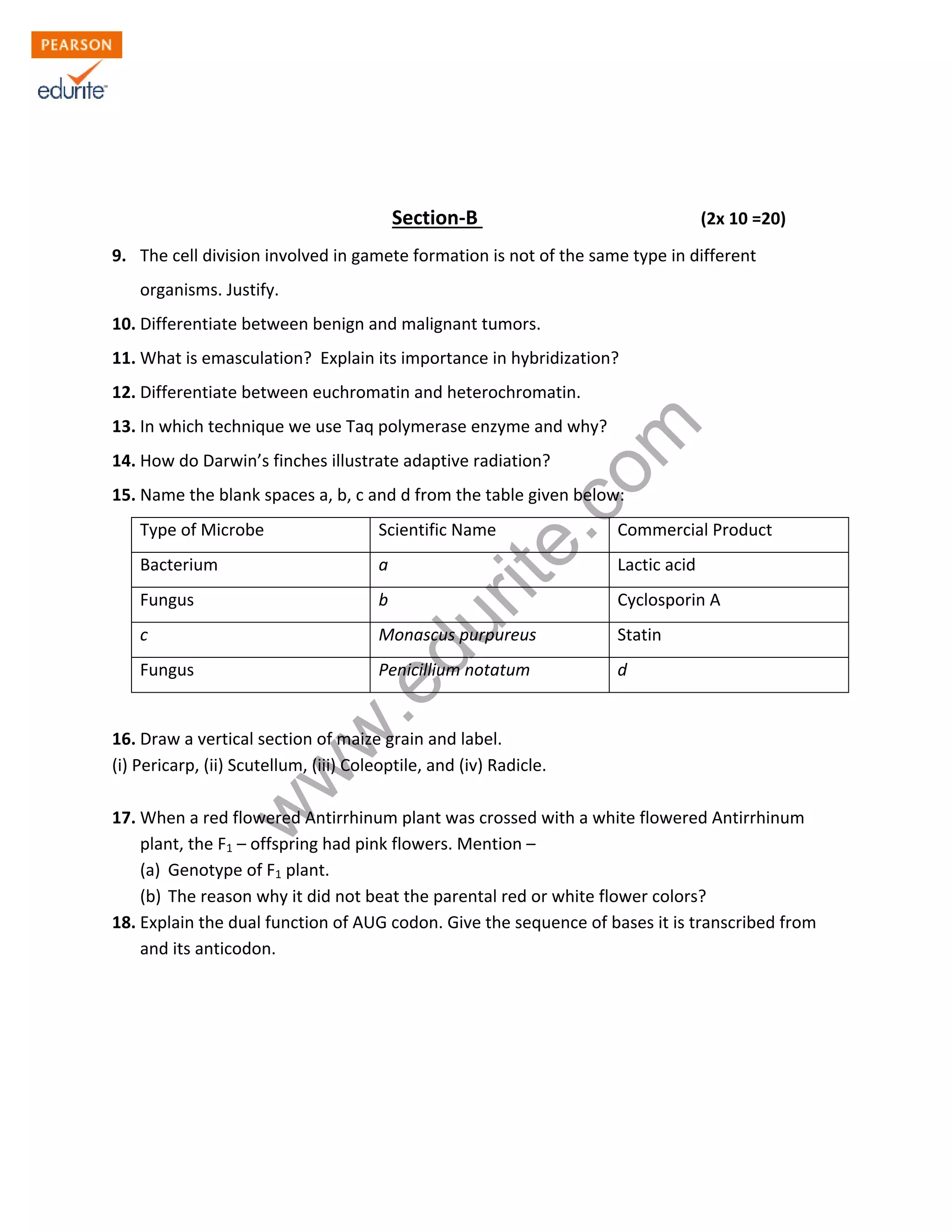 Cbse Class 12 Biology Sample Paper Model 1 | PDF