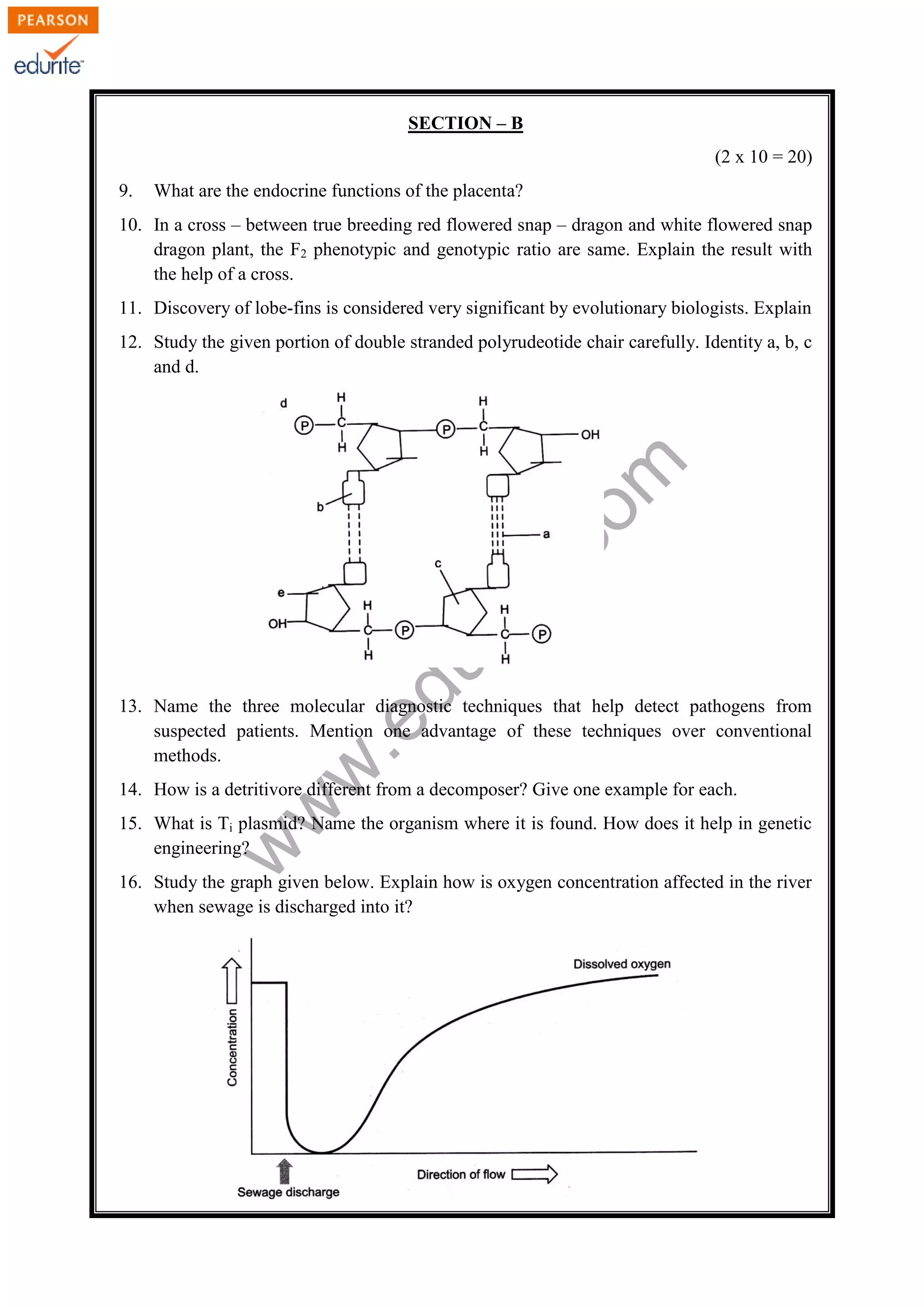 Cbse Class 12 Biology Sample Paper 2012-13 Model 1 | PDF