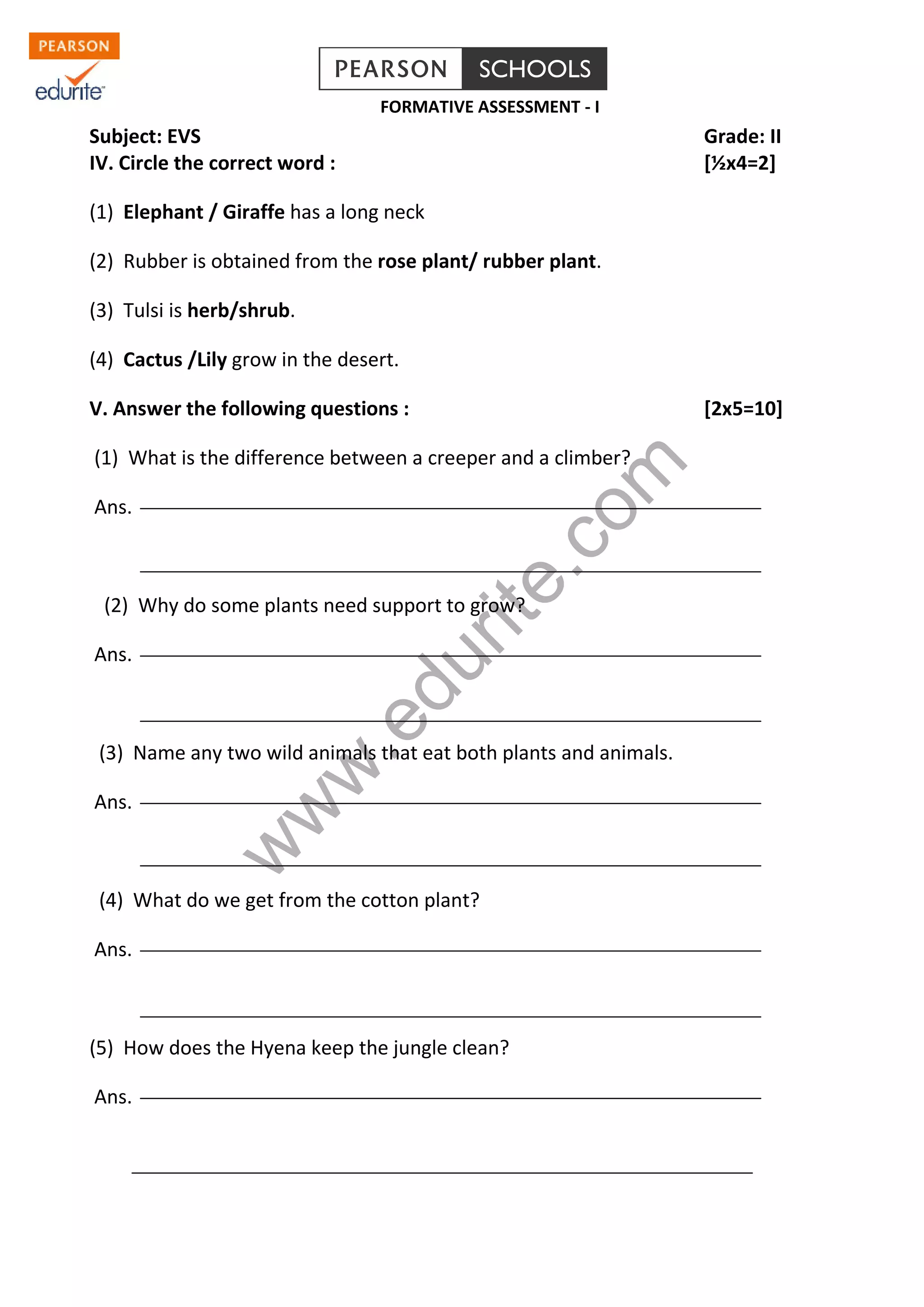 Class 2 CBSE EVS Question Paper | PDF