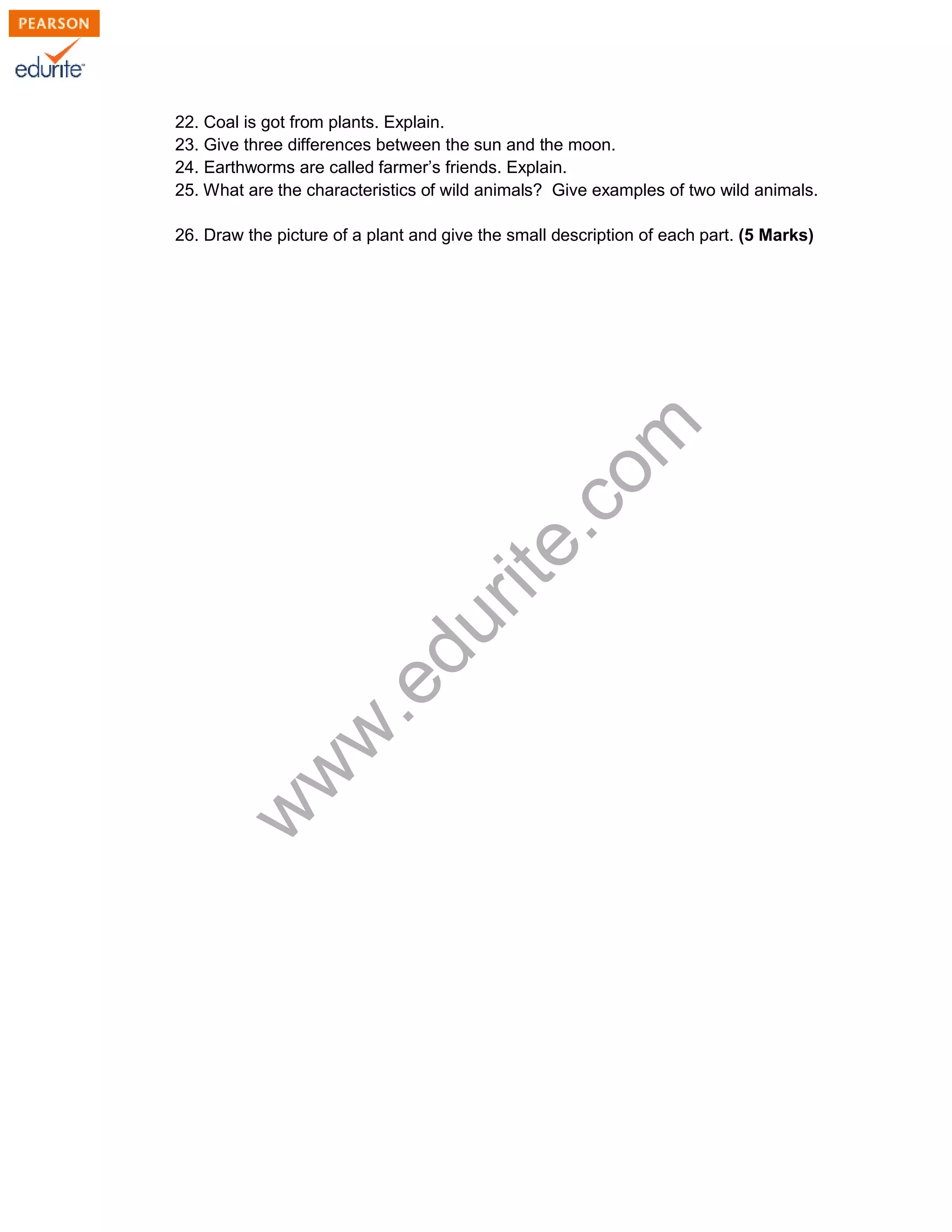 Class 2 CBSE EVS Sample Paper Term 2 Model 1 | PDF