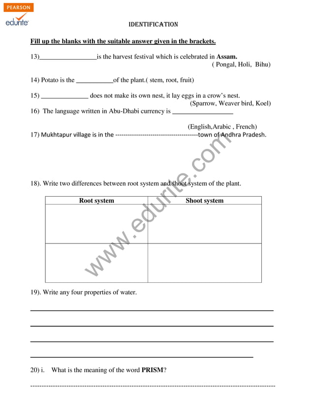 Class 4 Cbse EVS Question Paper Term 2 2012 | PDF