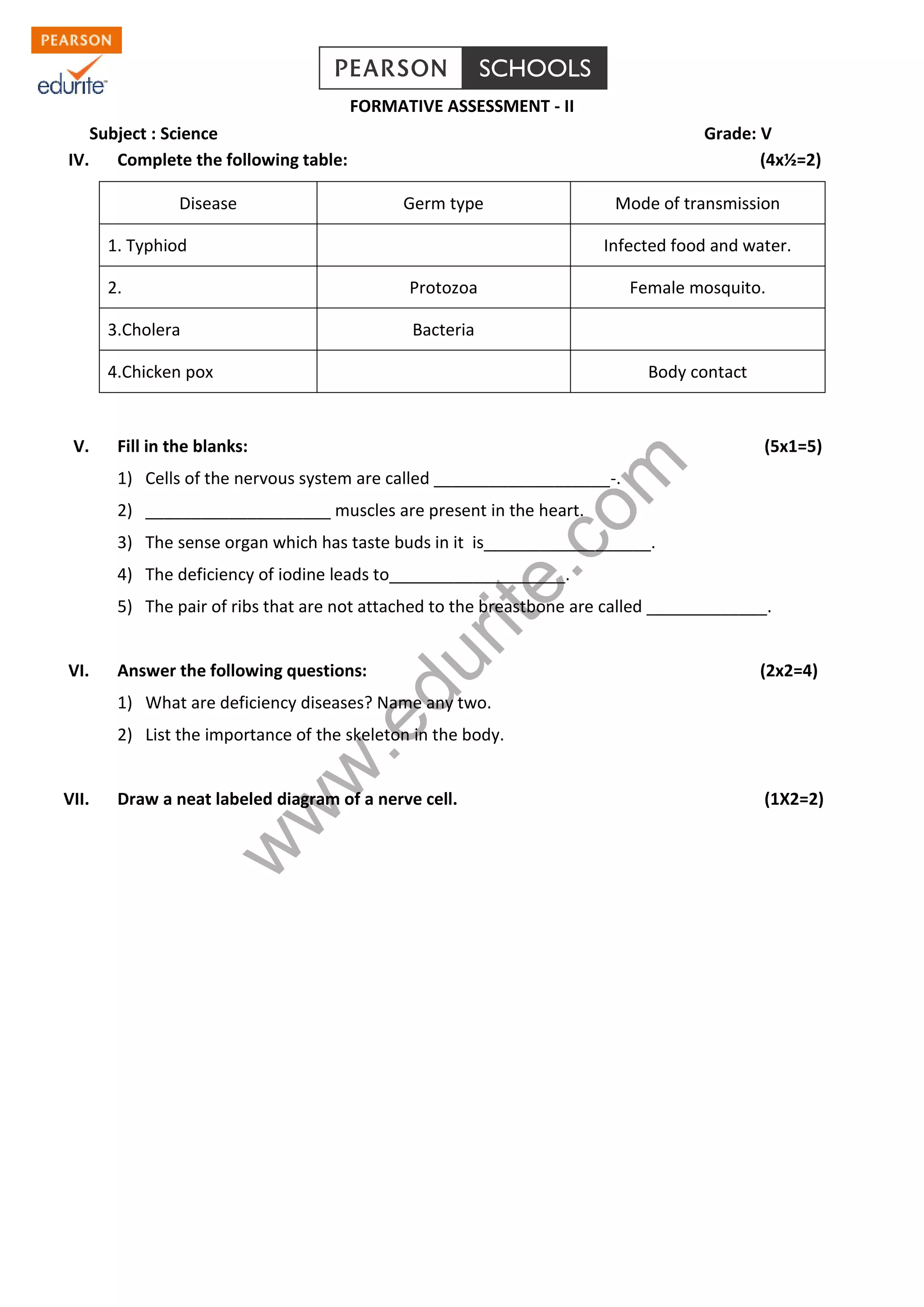 Class 5 Cbse Science Question Paper FA 2 | PDF