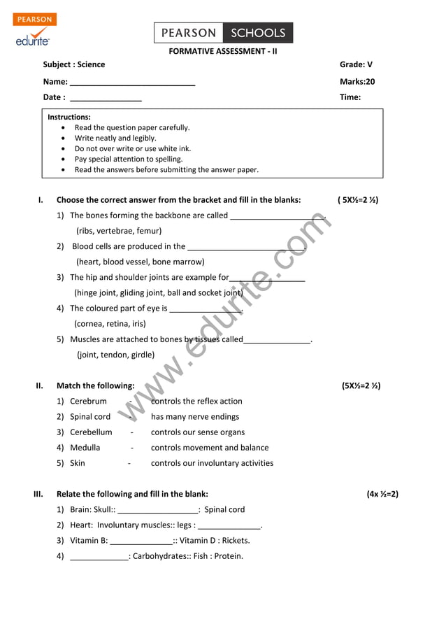 Class 5 Cbse Science Question Paper FA 2 | PDF | Biological Sciences | Science