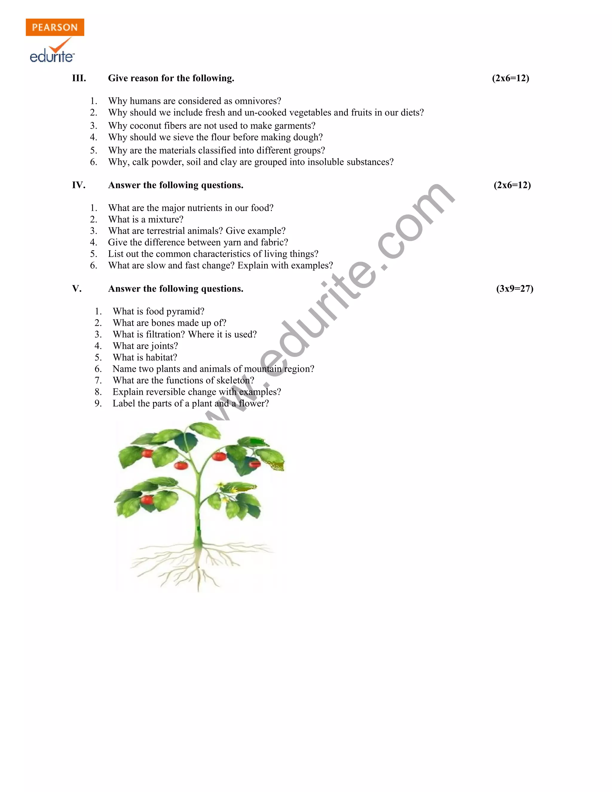 Class 6 Cbse Science Sample Paper Term 1 | PDF