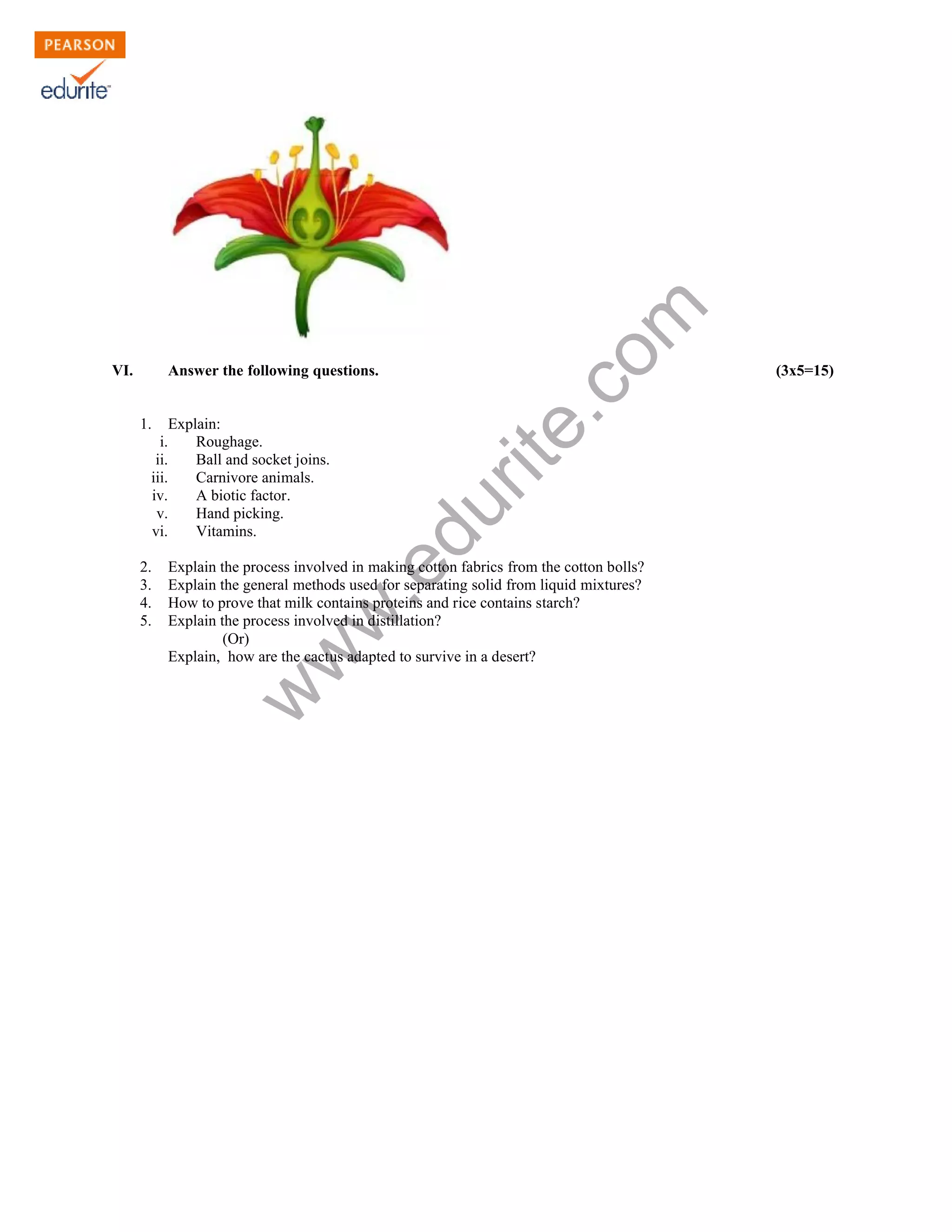 Class 6 Cbse Science Sample Paper Term 1 | PDF
