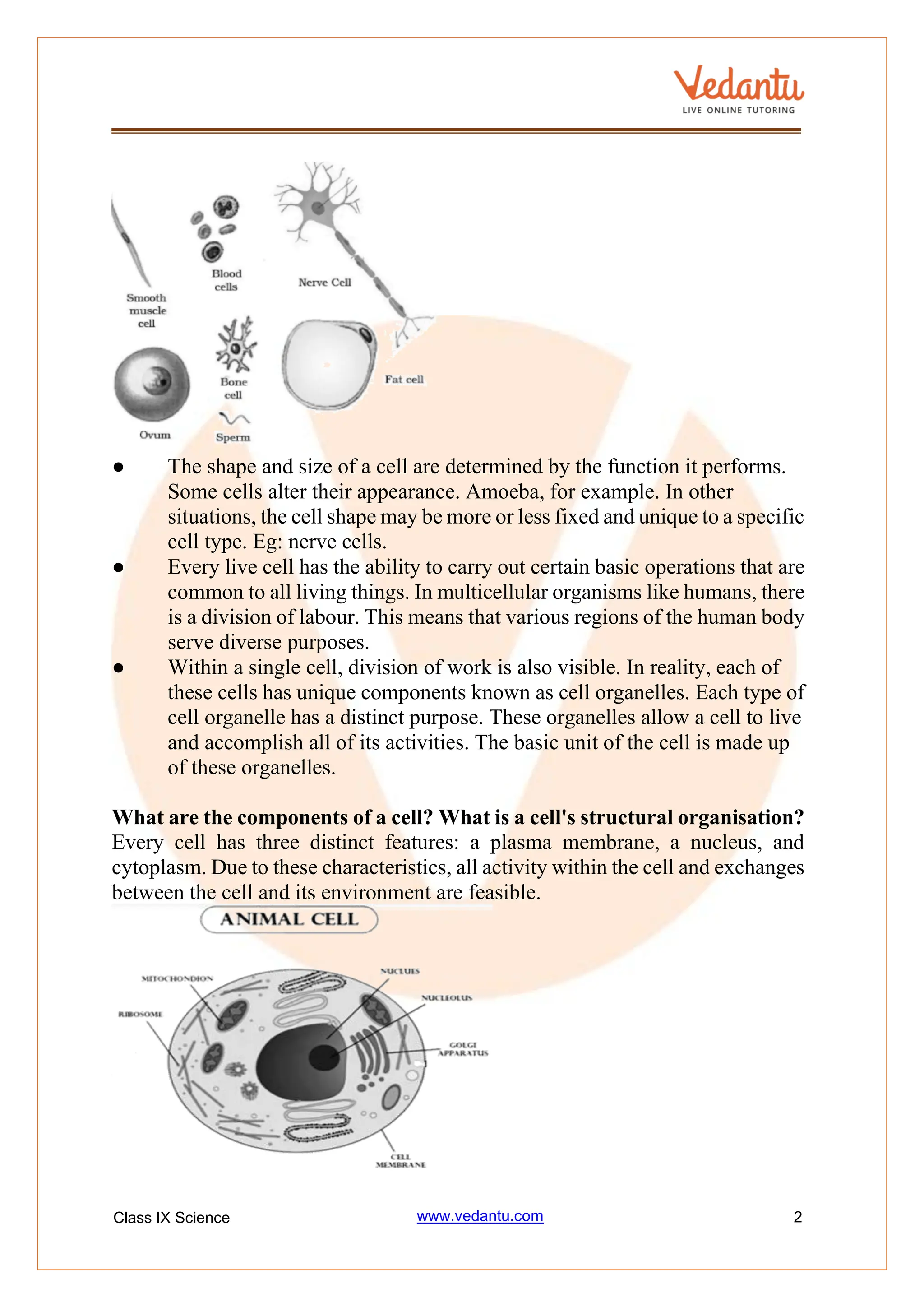 cbse-class-9-science-notes-chapter-5-the-fundamental-unit-of-life.pdf