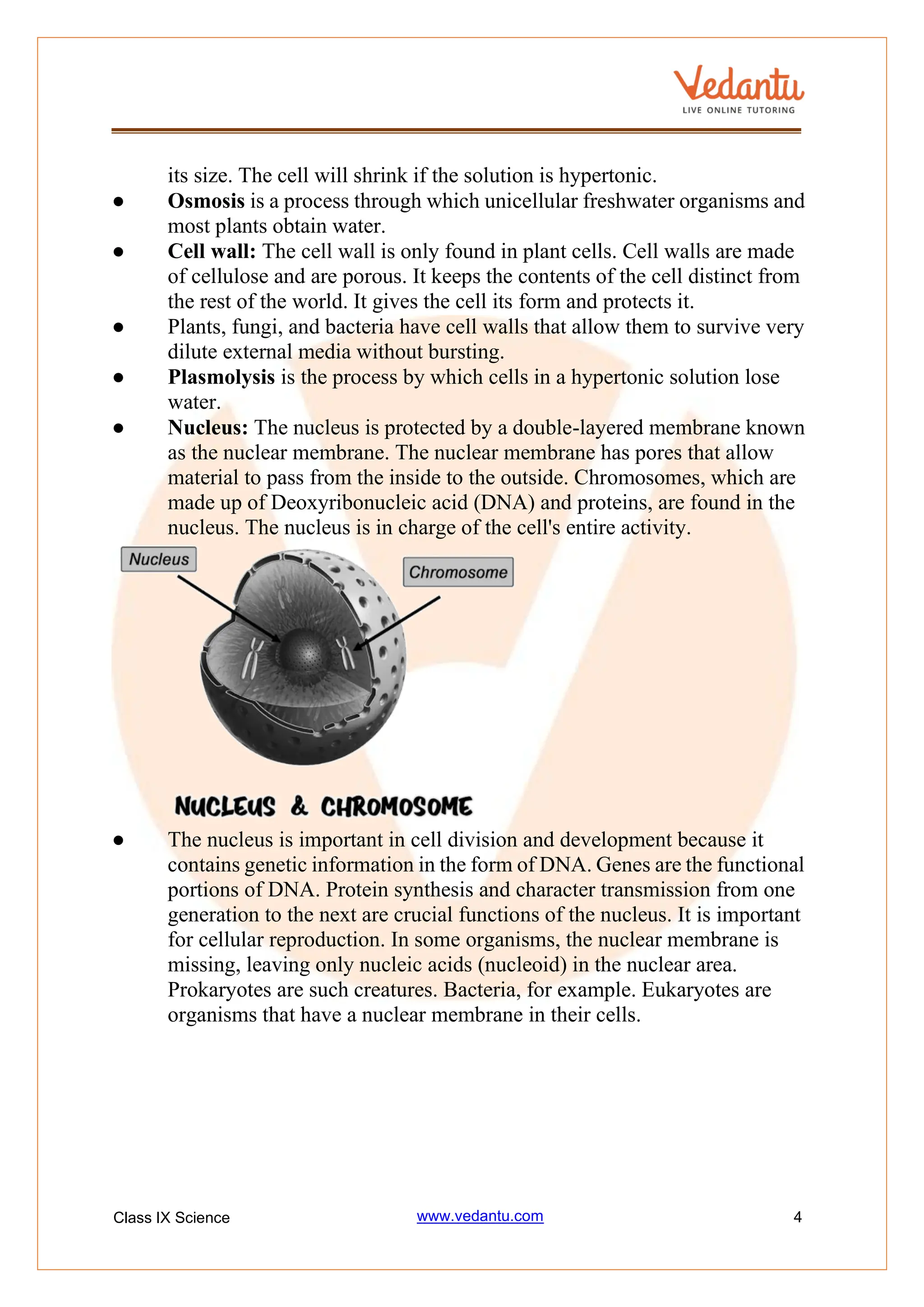 cbse-class-9-science-notes-chapter-5-the-fundamental-unit-of-life.pdf