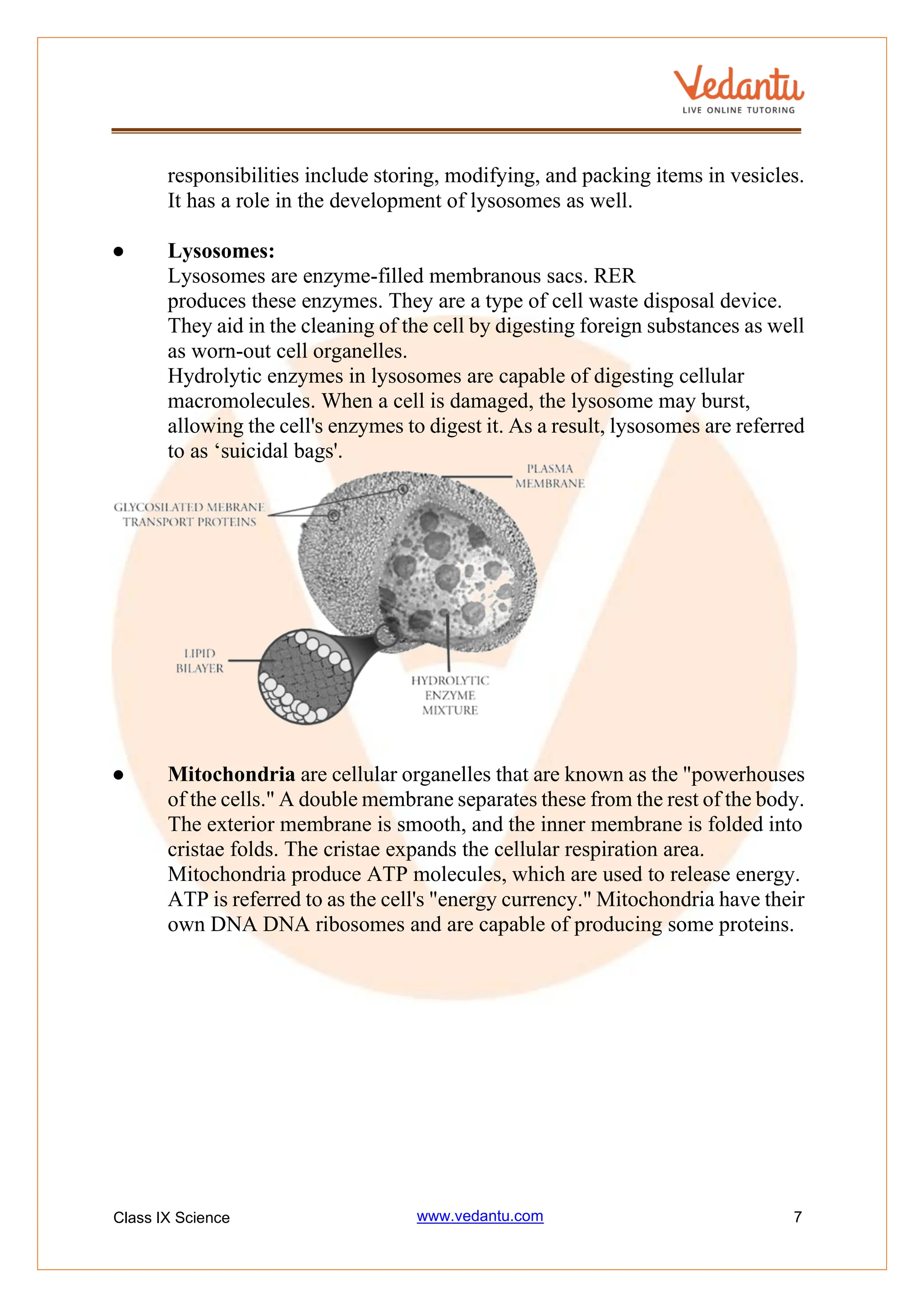 cbse-class-9-science-notes-chapter-5-the-fundamental-unit-of-life.pdf