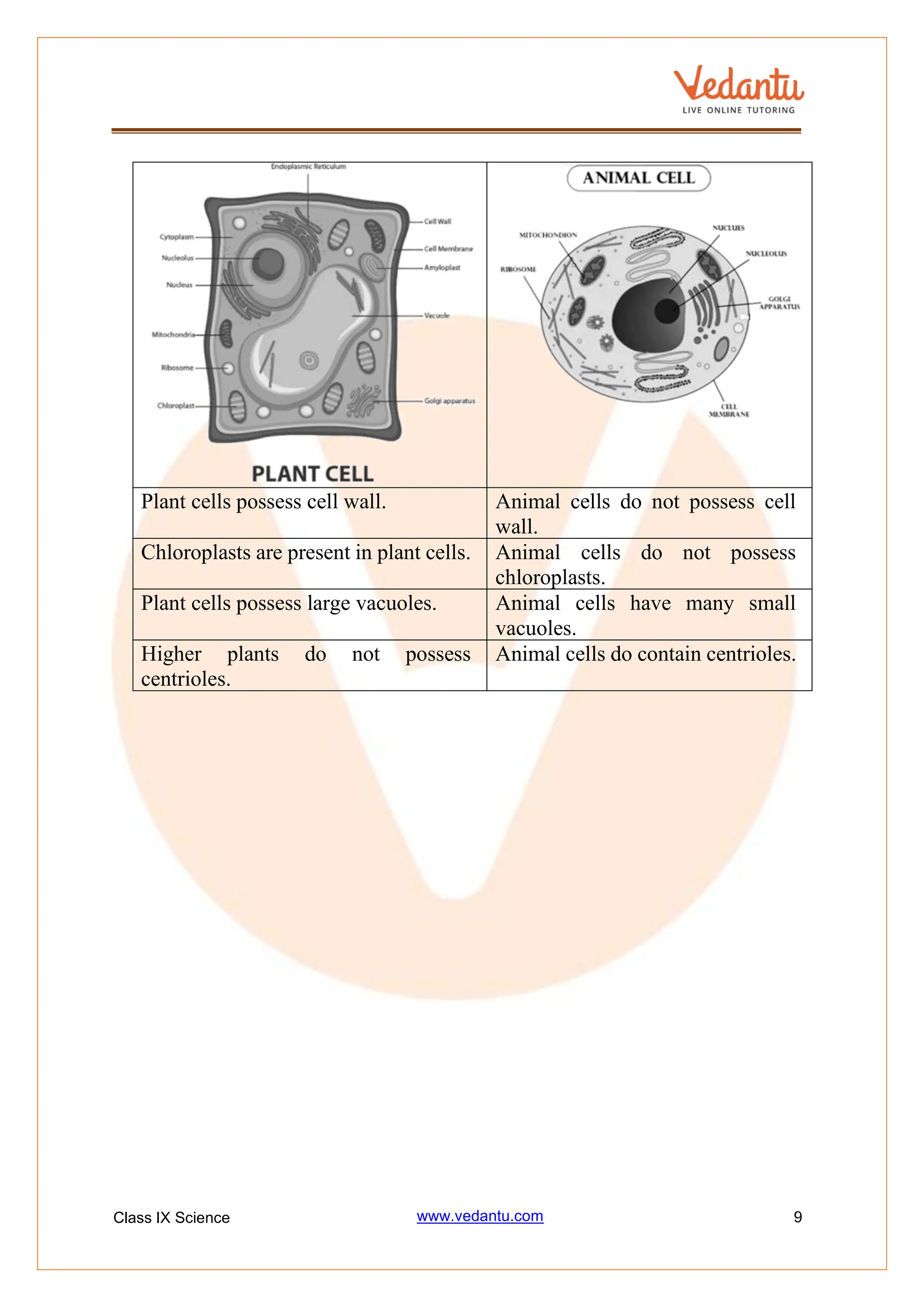 cbse-class-9-science-notes-chapter-5-the-fundamental-unit-of-life.pdf