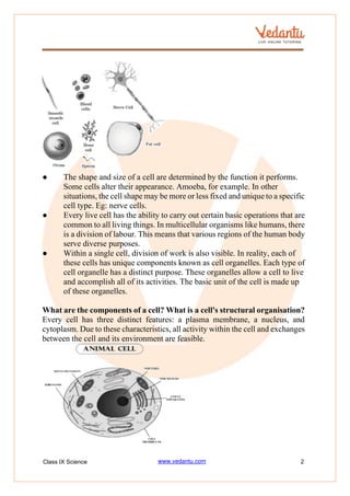 cbse-class-9-science-notes-chapter-5-the-fundamental-unit-of-life.pdf