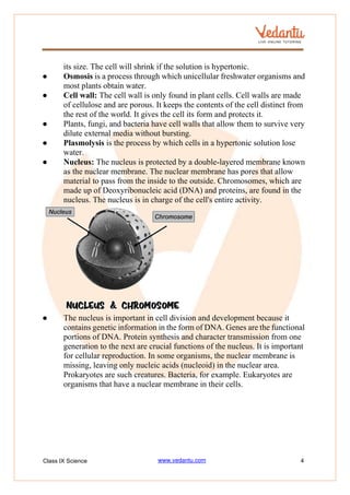 cbse-class-9-science-notes-chapter-5-the-fundamental-unit-of-life.pdf