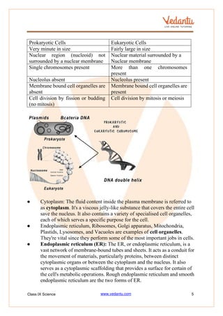 cbse-class-9-science-notes-chapter-5-the-fundamental-unit-of-life.pdf