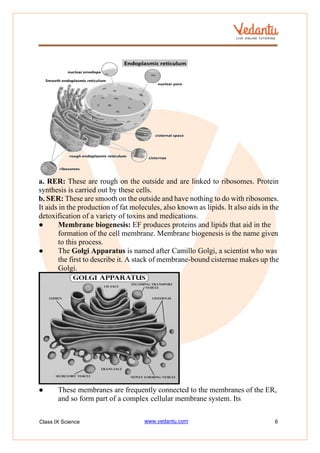 cbse-class-9-science-notes-chapter-5-the-fundamental-unit-of-life.pdf