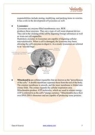 cbse-class-9-science-notes-chapter-5-the-fundamental-unit-of-life.pdf
