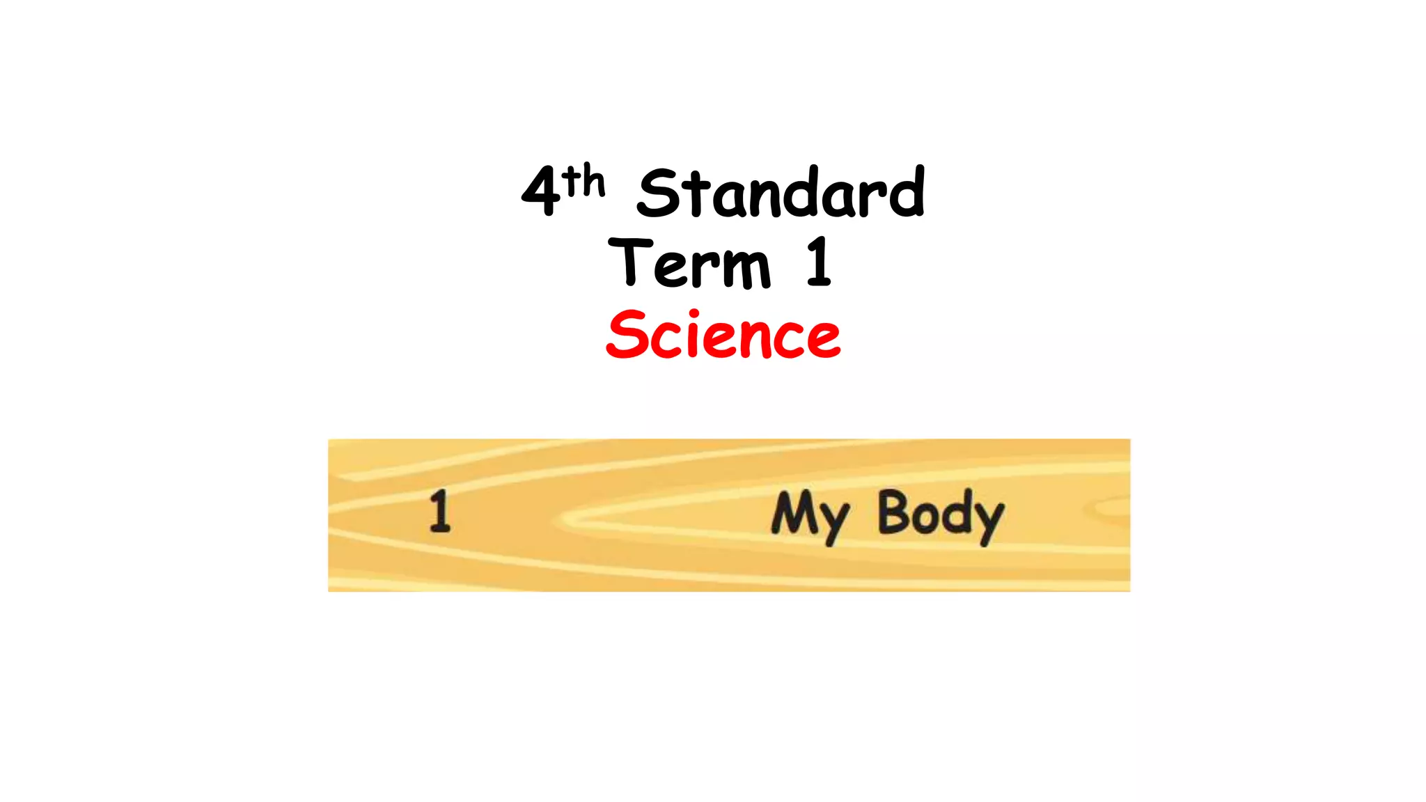 Cbse 4th science my body : Internal organs | PPTX