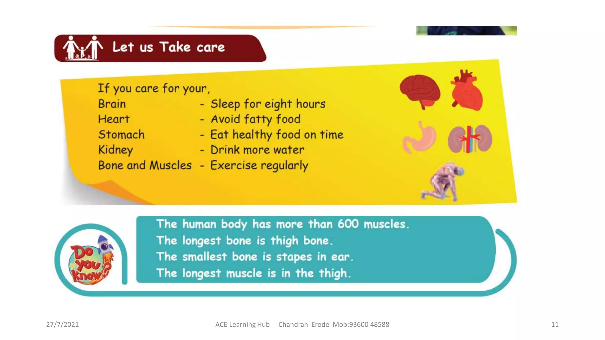 Cbse 4th science my body : Internal organs | PPTX