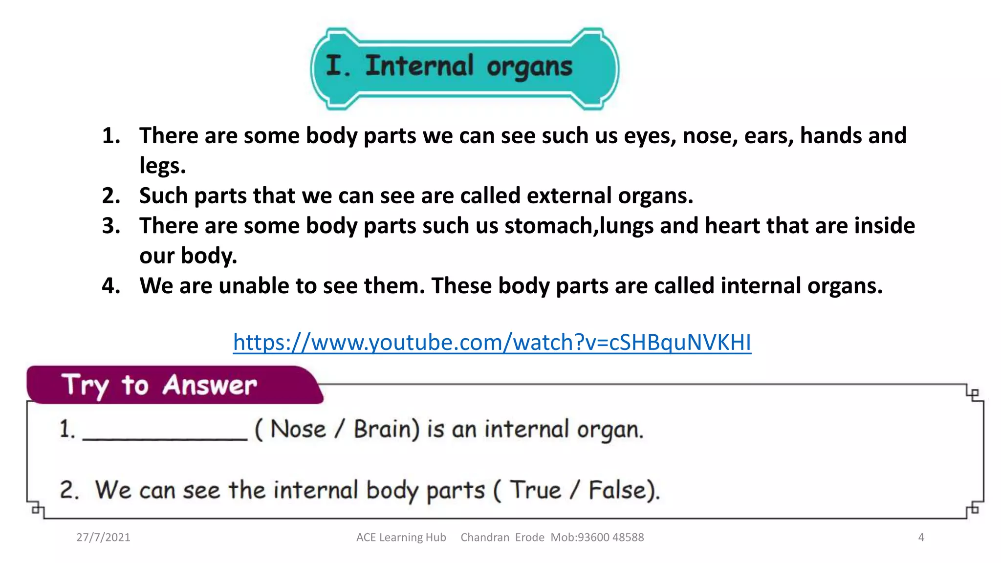 Cbse 4th science my body : Internal organs | PPTX