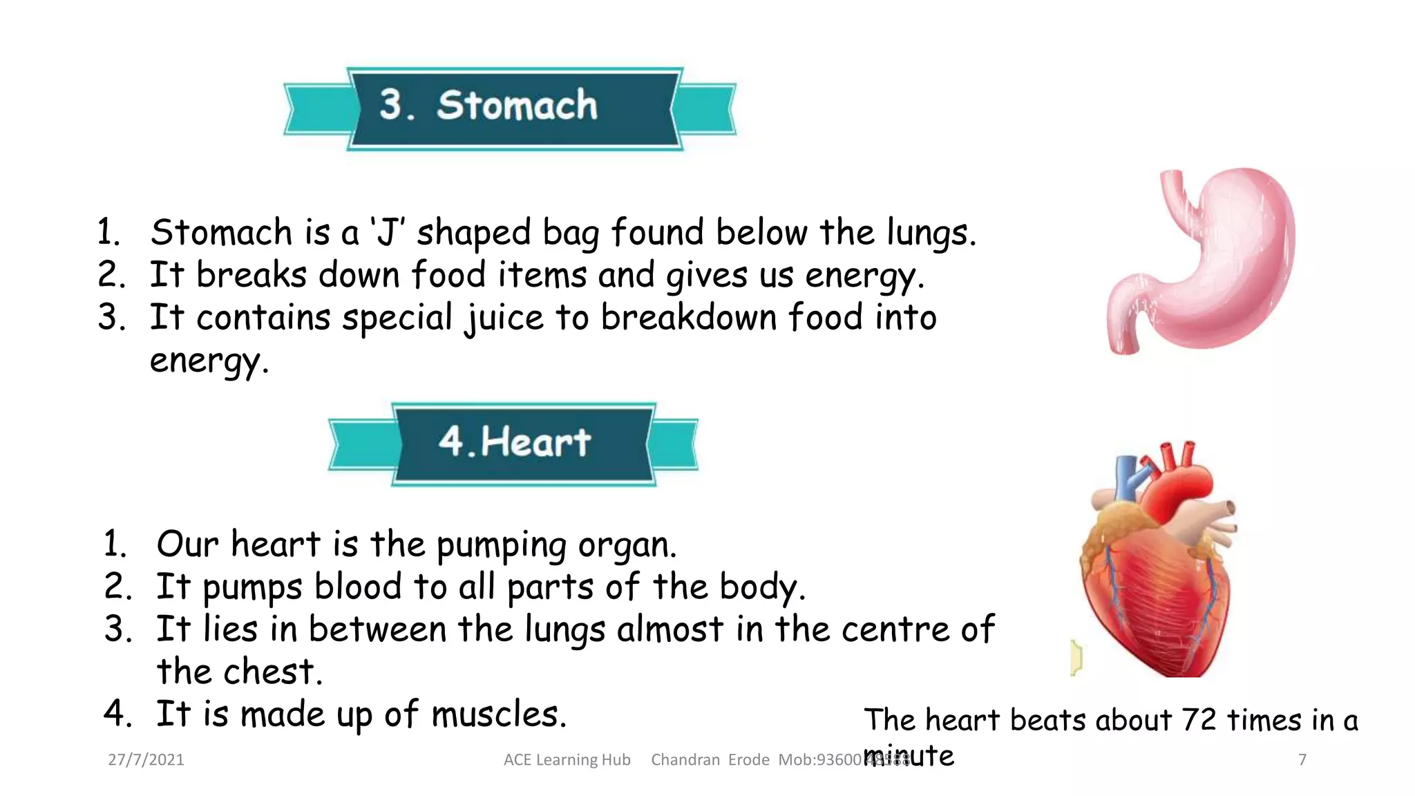 Cbse 4th science my body : Internal organs | PPTX | Lung and ...