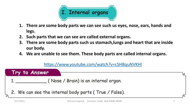 Cbse 4th science my body : Internal organs | PPTX | Lung and ...