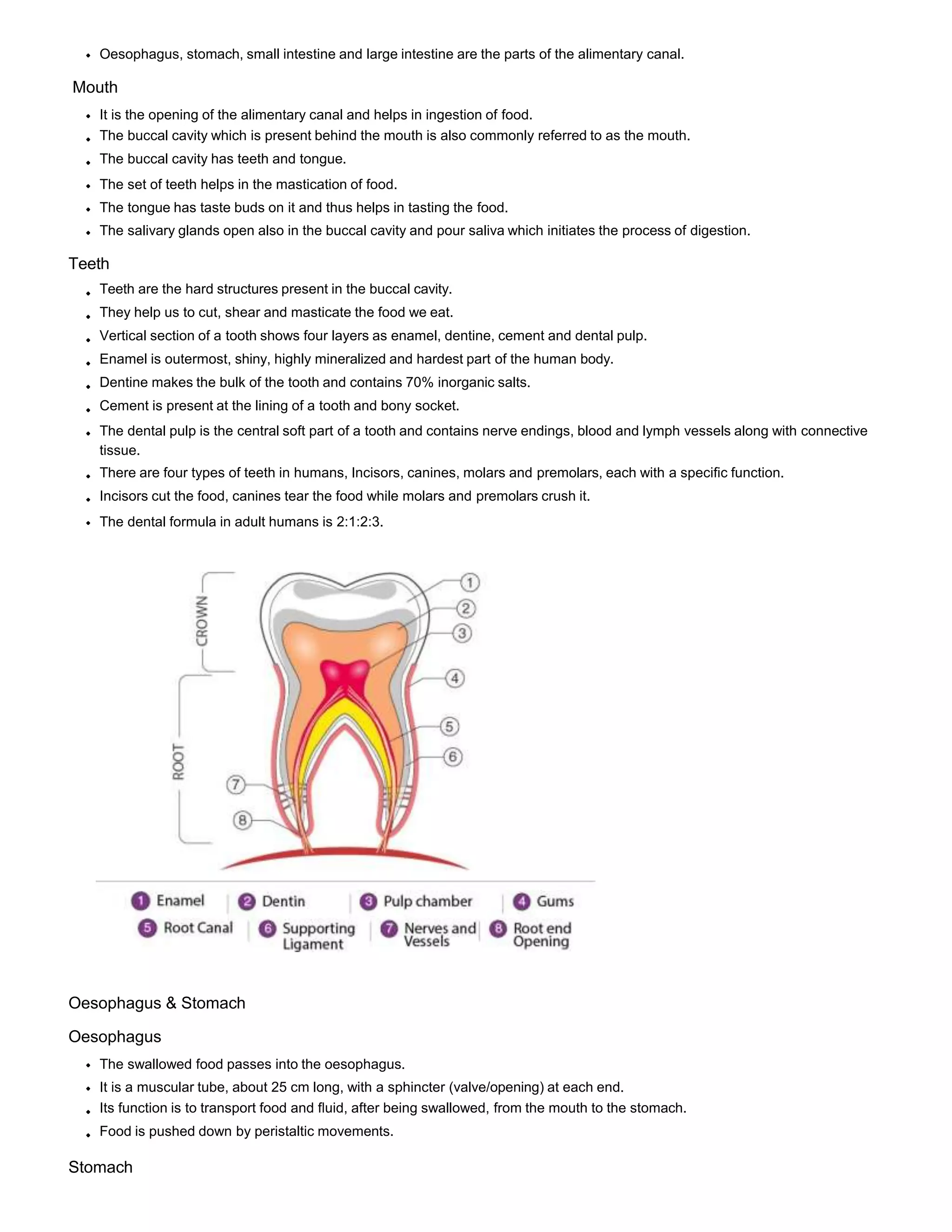 Cbse class 10 science life processes notes | PPTX