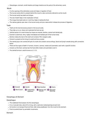 Cbse class 10 science life processes notes | PPTX