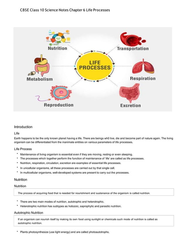 Cbse Class 10 Science Life Processes Notes PDF Cbse Class 10 Science Life Processes Notes PDF