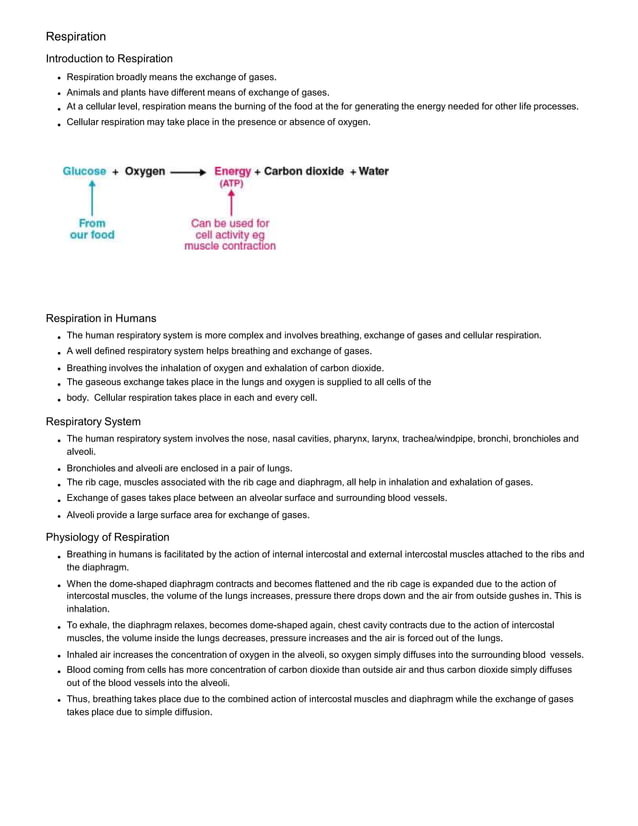 Cbse Class 10 Science Life Processes Notes Pdf