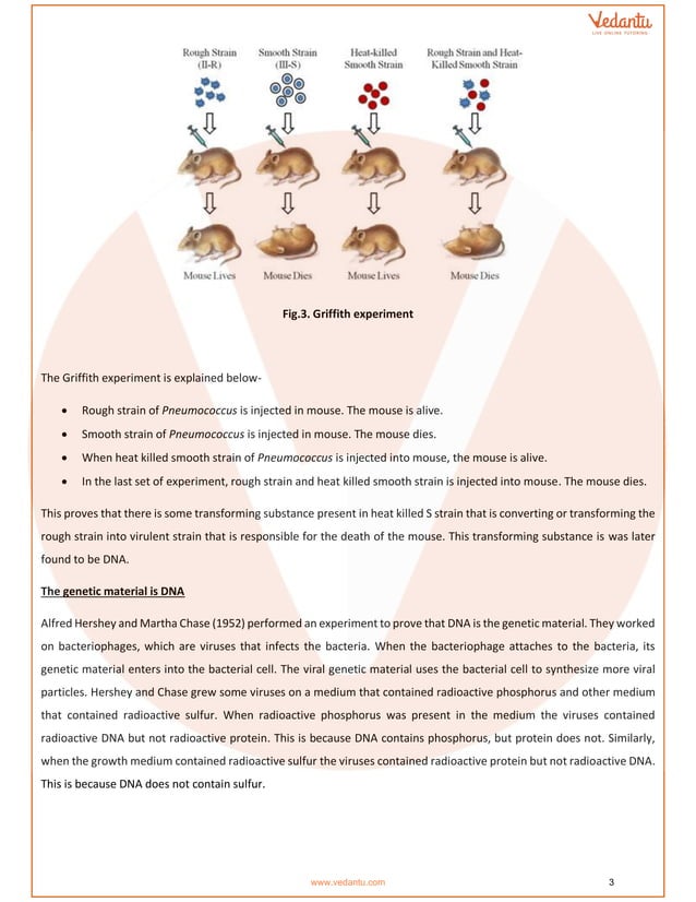 CBSE Class 12 Biology Chapter 6 revision notes of Molecular basis of ...