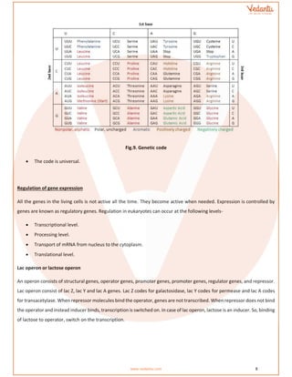 CBSE Class 12 Biology Chapter 6 revision notes of Molecular basis of ...