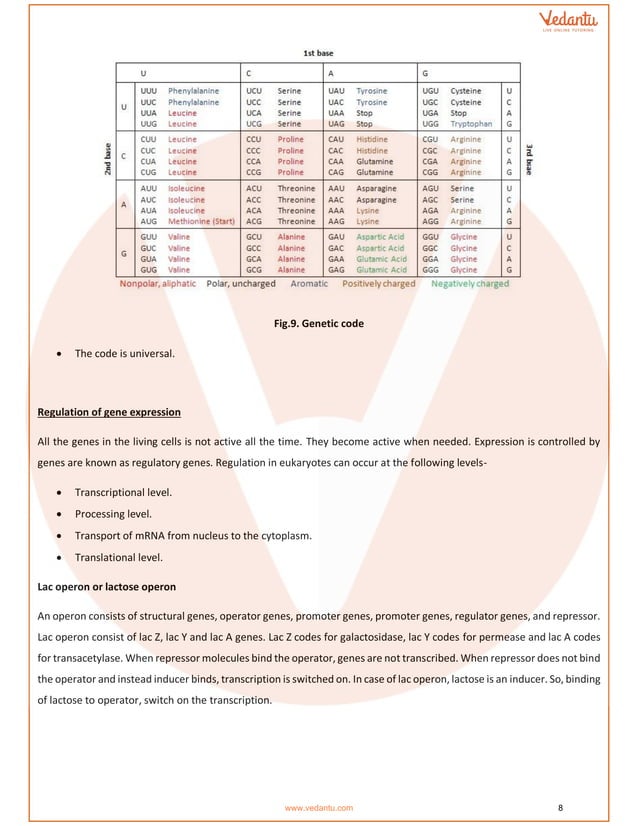 CBSE Class 12 Biology Chapter 6 revision notes of Molecular basis of ...