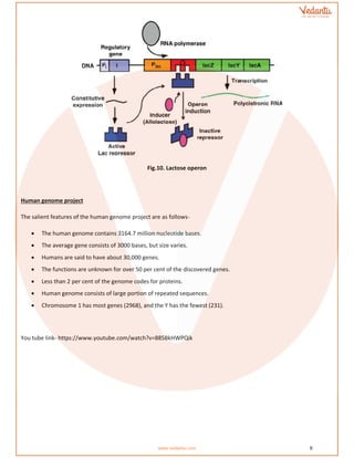 CBSE Class 12 Biology Chapter 6 revision notes of Molecular basis of ...