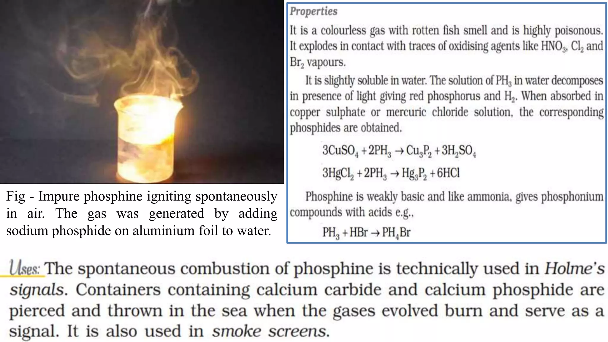CBSE Class 12 Chemistry Chapter 7 (The p Block Elements) | Homi ...