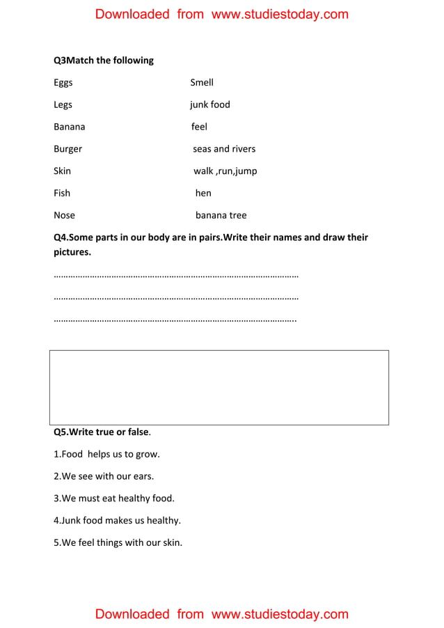 Cbse class 2 evs practice worksheets (30) myself, body parts | PDF ...