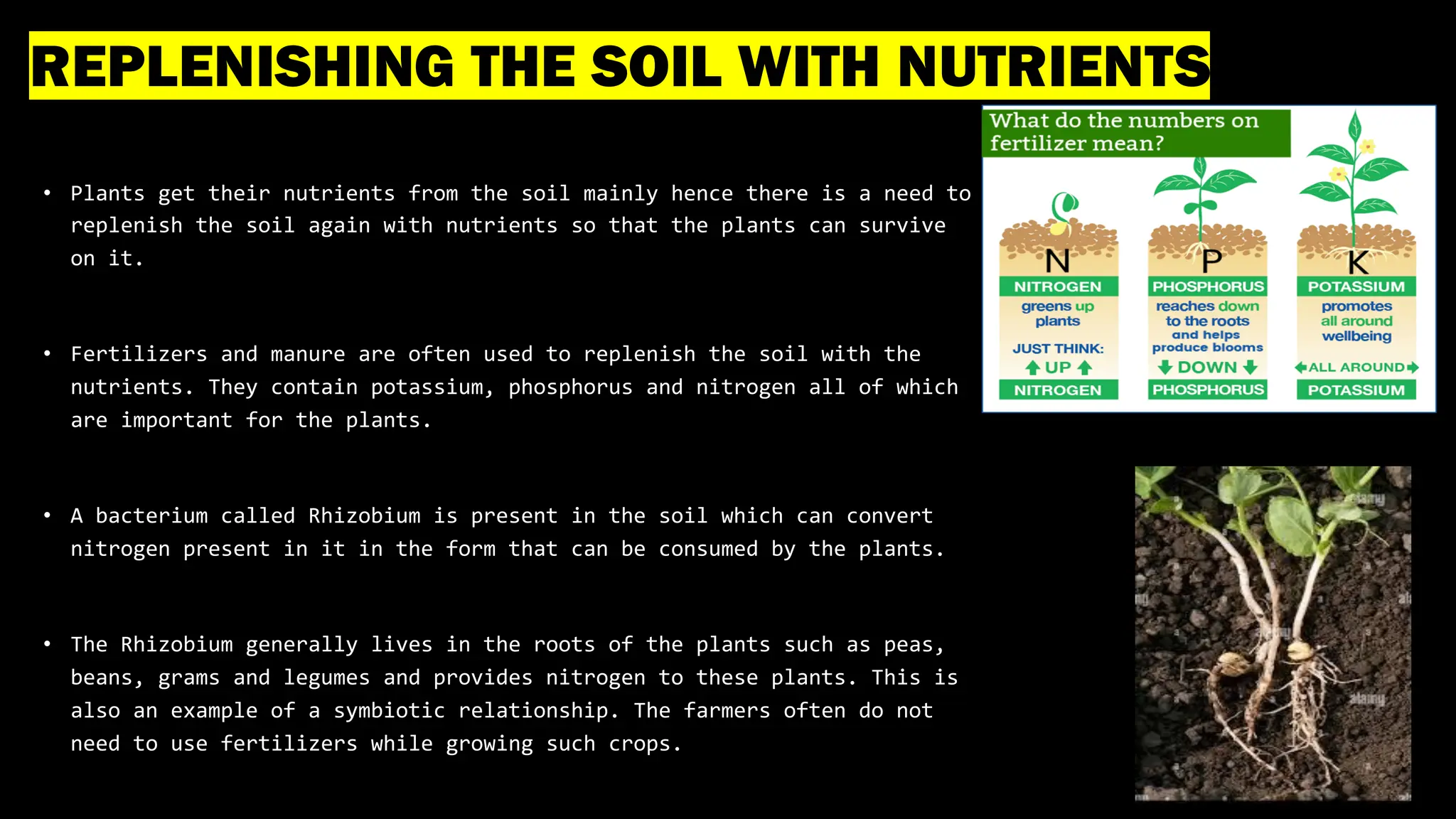 PPT FOR CBSE CLASS 7 SCINCE SUBJECT UNIT 1: CBSE CLASS 7 UNIT 1 SCIENCE ...