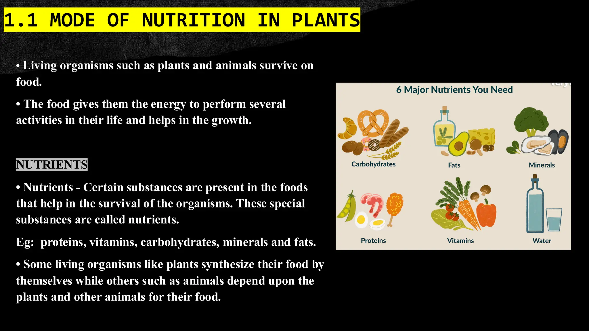 PPT FOR CBSE CLASS 7 SCINCE SUBJECT UNIT 1: CBSE CLASS 7 UNIT 1 SCIENCE ...