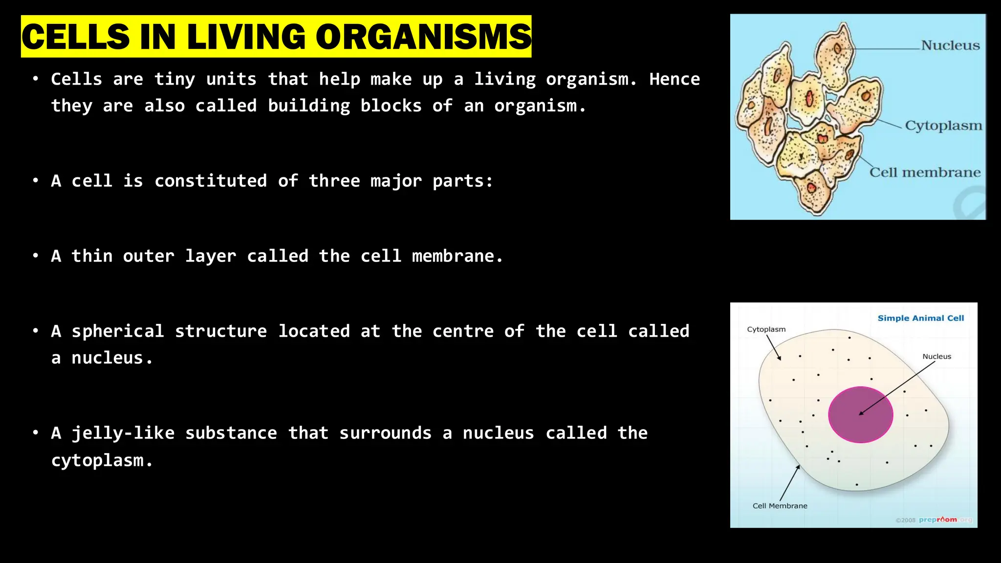 PPT FOR CBSE CLASS 7 SCINCE SUBJECT UNIT 1: CBSE CLASS 7 UNIT 1 SCIENCE ...