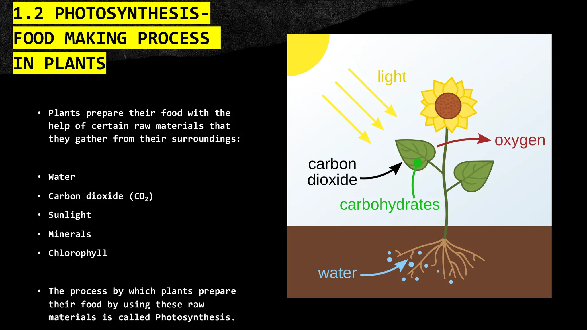 PPT FOR CBSE CLASS 7 SCINCE SUBJECT UNIT 1: CBSE CLASS 7 UNIT 1 SCIENCE ...