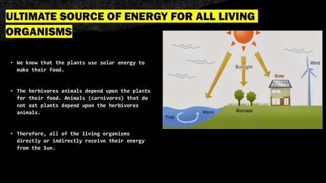 PPT FOR CBSE CLASS 7 SCINCE SUBJECT UNIT 1: CBSE CLASS 7 UNIT 1 SCIENCE ...