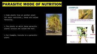 PPT FOR CBSE CLASS 7 SCINCE SUBJECT UNIT 1: CBSE CLASS 7 UNIT 1 SCIENCE ...
