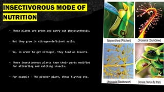 PPT FOR CBSE CLASS 7 SCINCE SUBJECT UNIT 1: CBSE CLASS 7 UNIT 1 SCIENCE ...