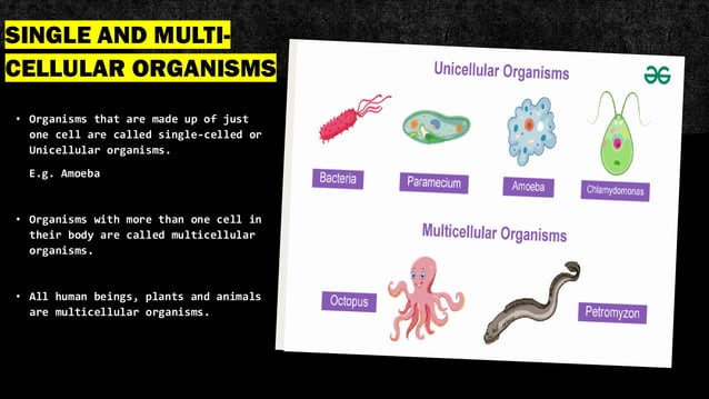PPT FOR CBSE CLASS 7 SCINCE SUBJECT UNIT 1: CBSE CLASS 7 UNIT 1 SCIENCE ...