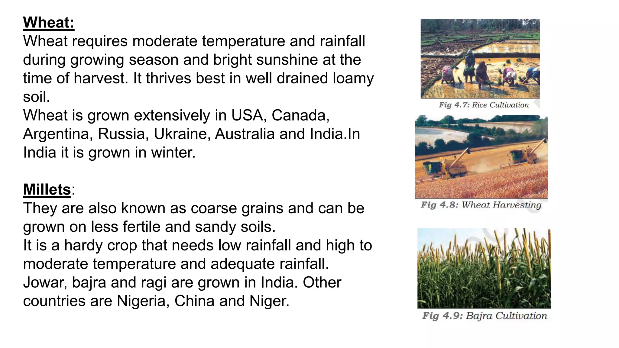 CBSE_ class 8 geography ch 4. agriculture | PDF
