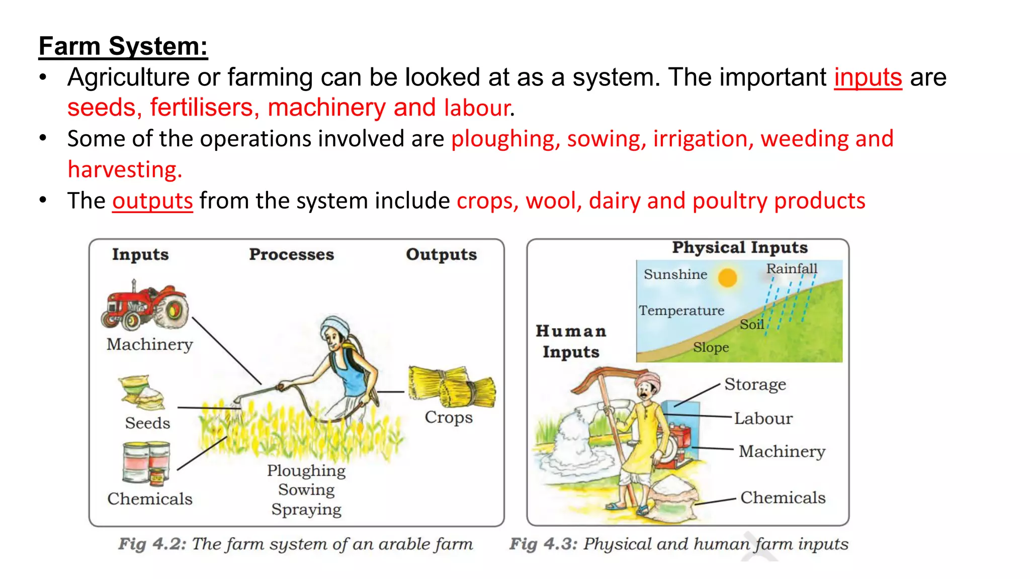 CBSE_ class 8 geography ch 4. agriculture | PDF